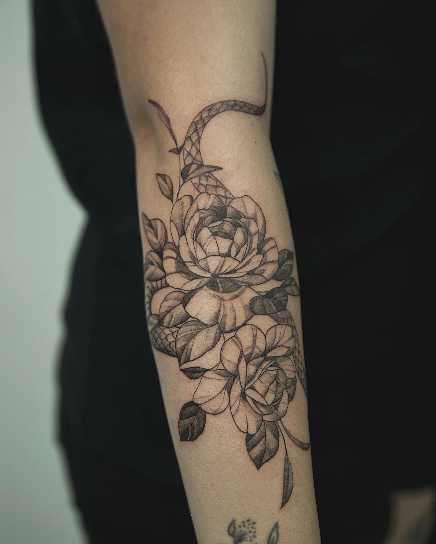 Best Aftercare Products - Bleed ink Toronto